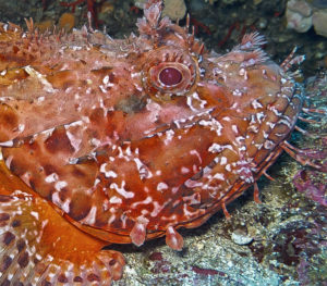 Venez découvrir l'Océarium du Croisic